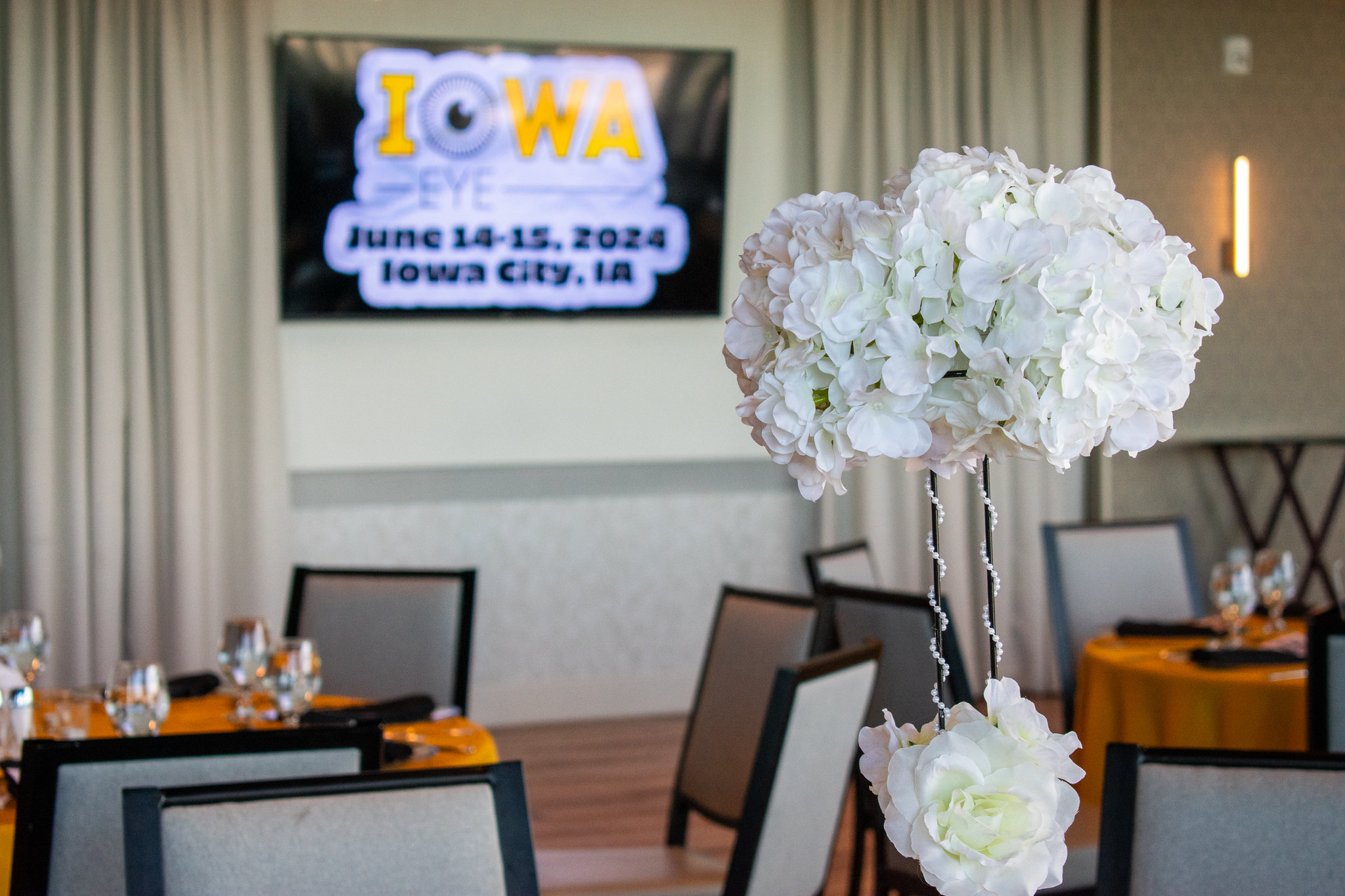 2025 Iowa Eye Annual Meeting & Centennial Celebration | Department of ...