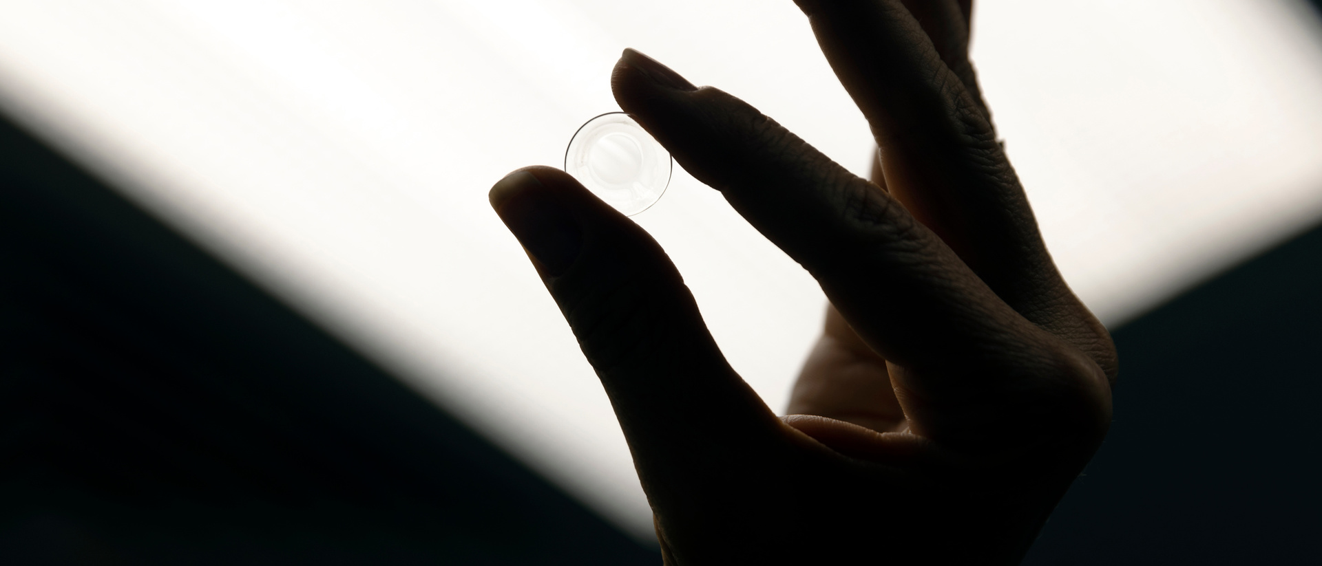 Department of Ophthalmology and Visual Sciences | Carver College of ...