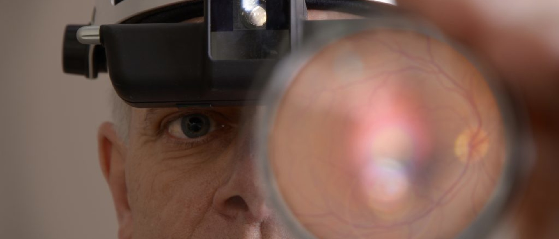 Department of Ophthalmology and Visual Sciences | Carver College of ...